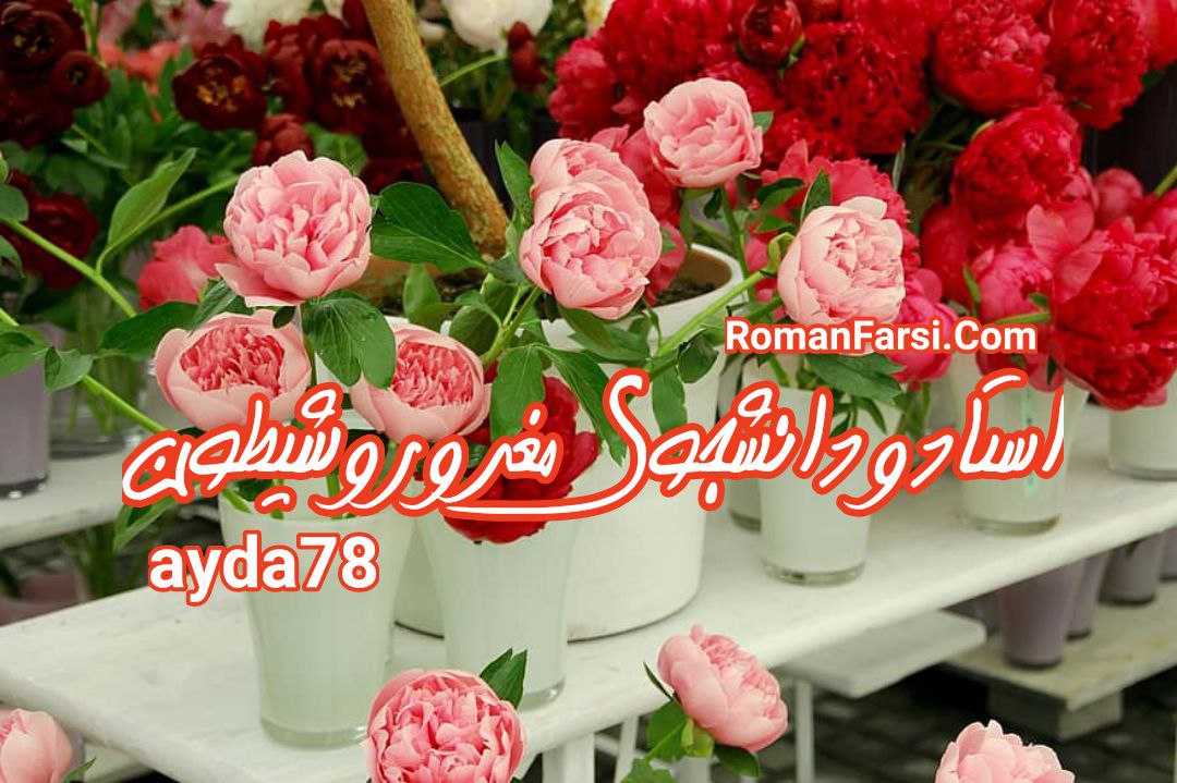 رمان استاد و دانشجوی مغرور و شیطون ayda78 pdf - رمان فارسی